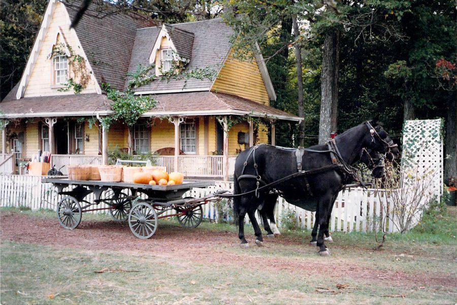 Movie and TV | Lionel's Farm